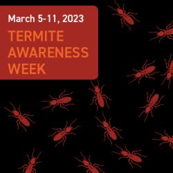 Your Guide for TARGETing Termites